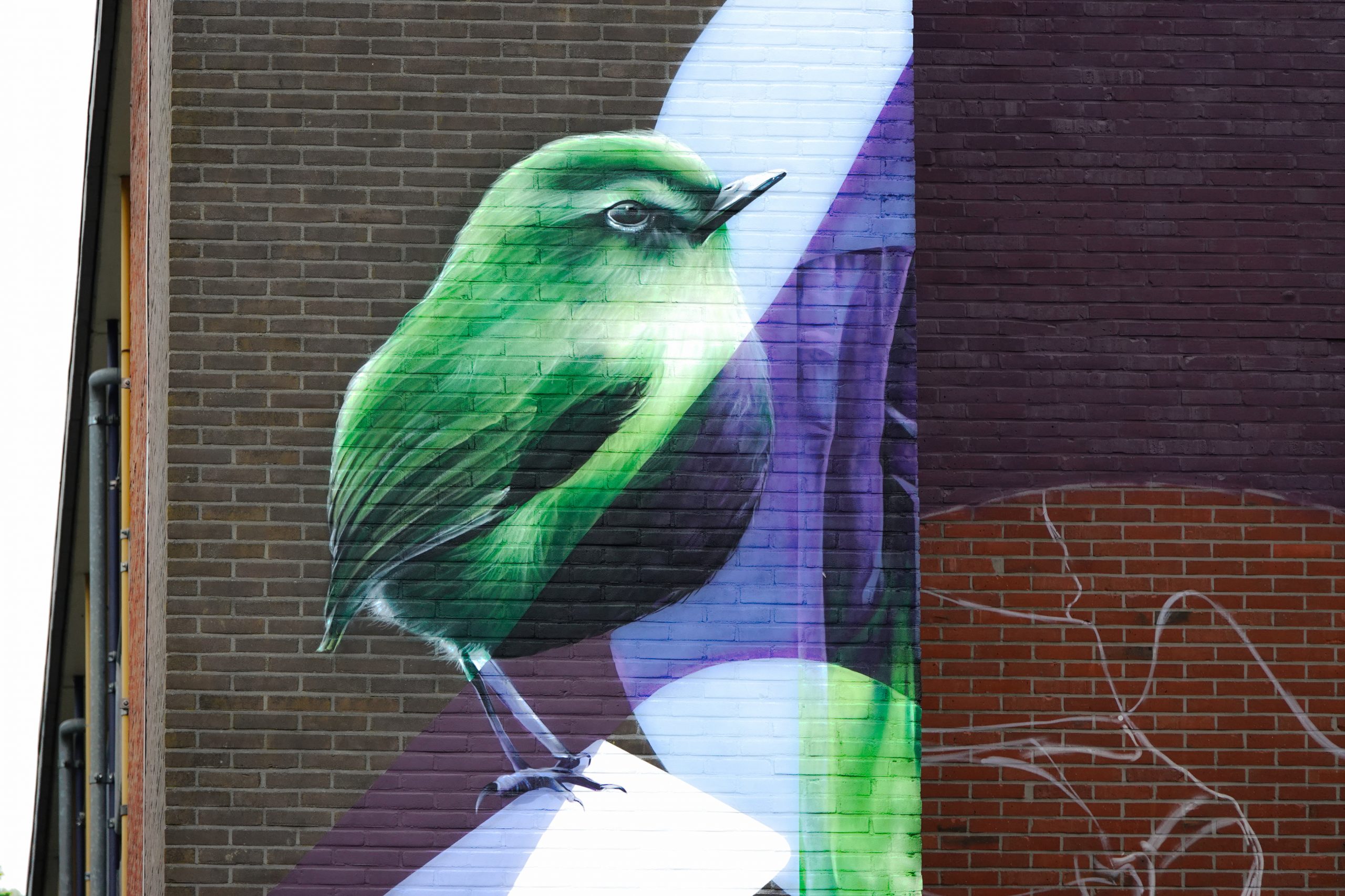 Street Art Stadskanaal - KunstwerkT Stadskanaal